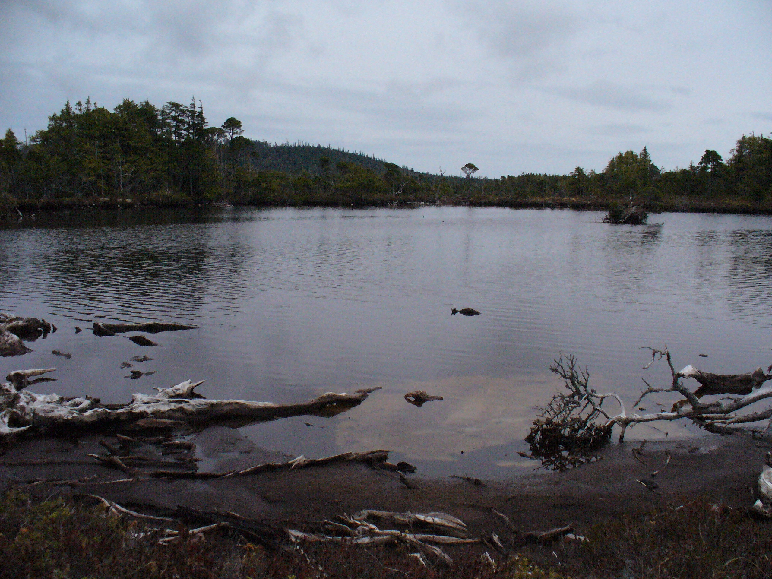 Naked Lake